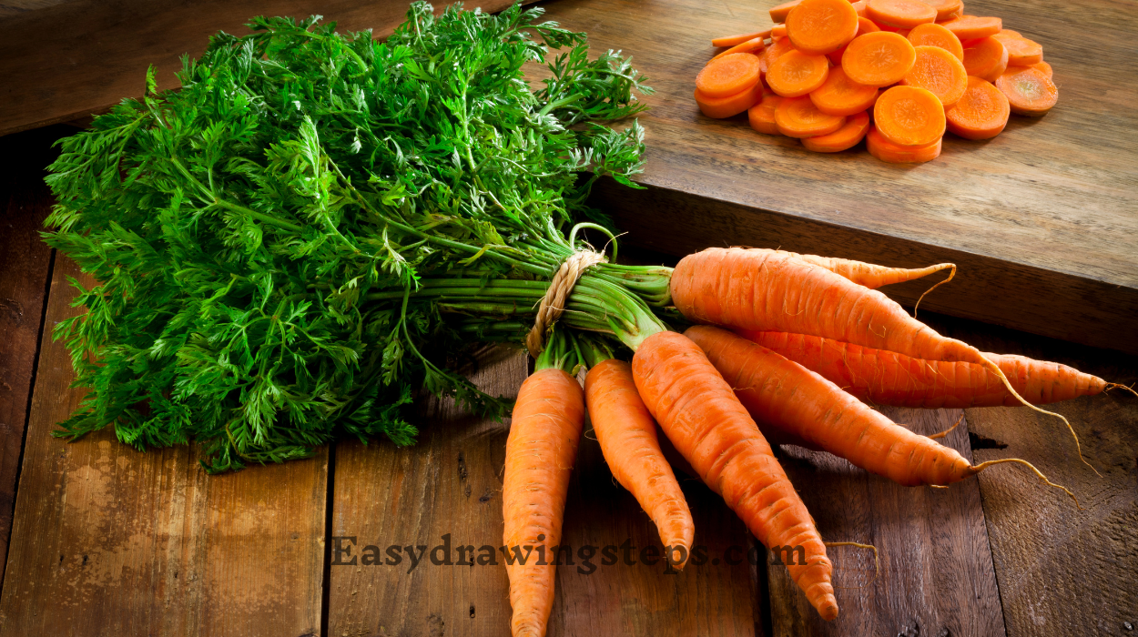 10 easy steps to draw Carrot Drawing - Easy Drawing