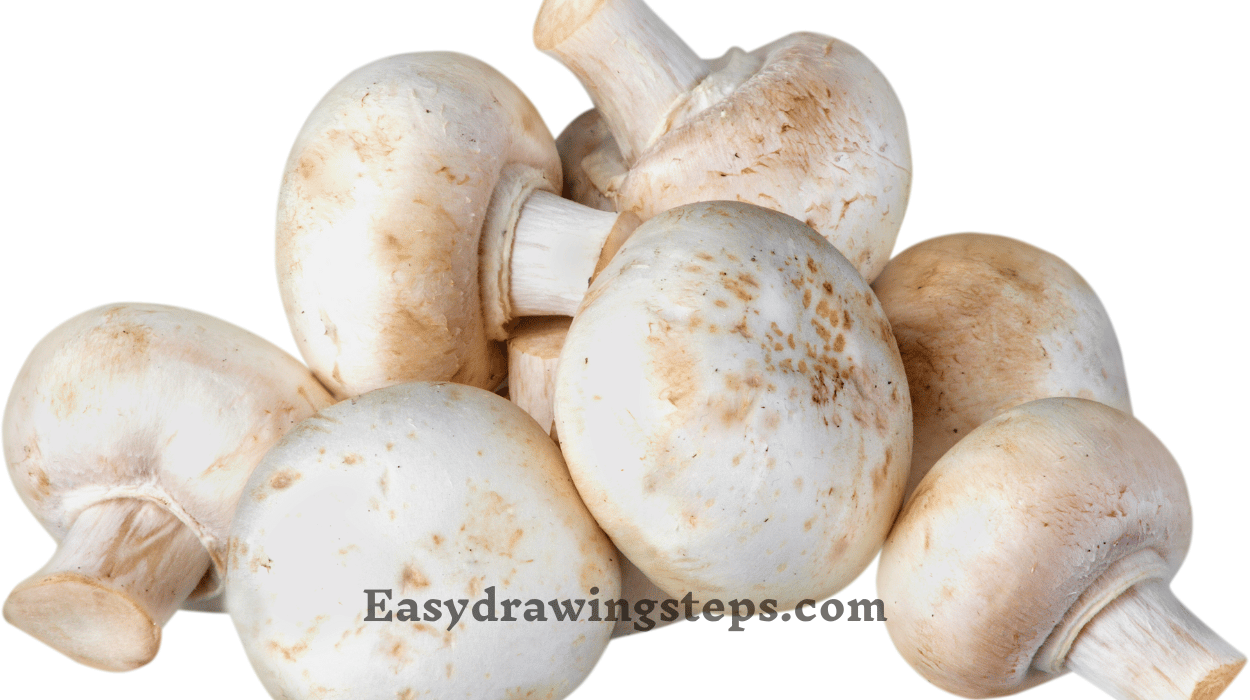 10 easy steps to draw Mushroom Drawing - Easy Drawing