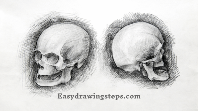 10 easy steps to draw Skull Drawing - Easy Drawing