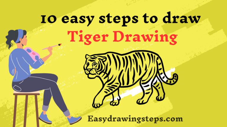 10 easy steps to draw Tiger Drawing - Easy Drawing