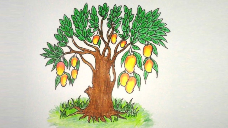 10 easy steps to draw Mango Drawing - Easy Drawing