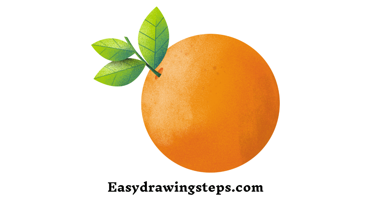 10 easy steps to draw Orange Drawing - Easy Drawing