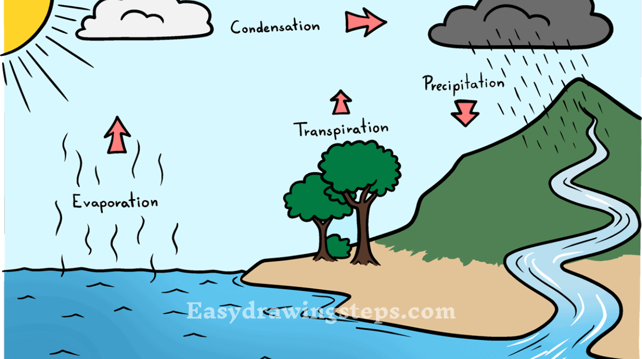 10 easy steps to draw Water Cycle Drawing - Easy Drawing