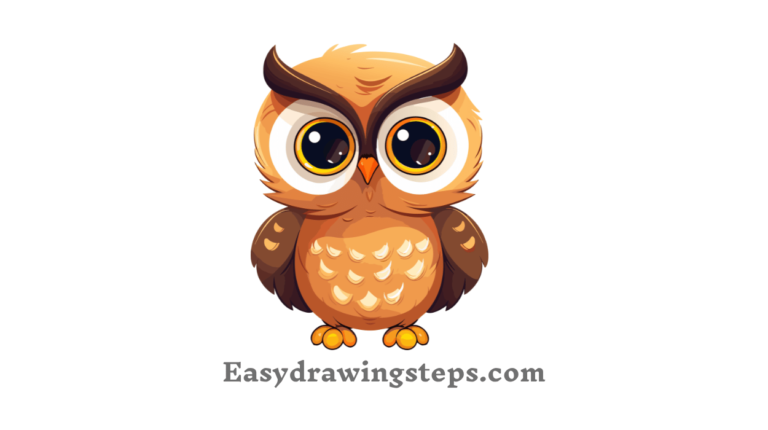 10 Steps to Draw Owl Drawing - Easy Drawing