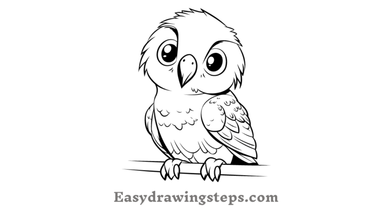10 Steps to Draw Owl Drawing - Easy Drawing