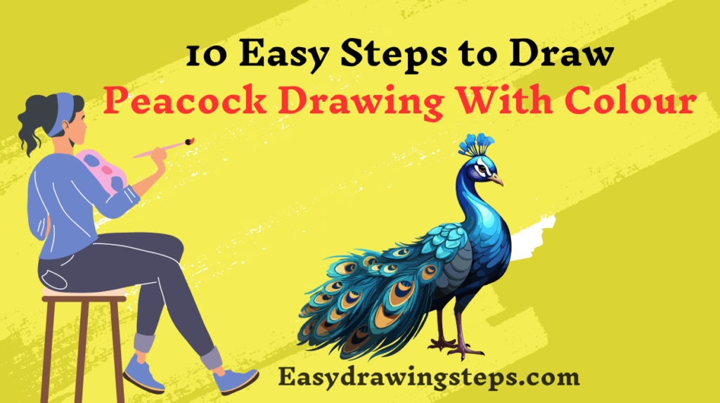 10 Easy Steps to Draw Peacock Drawing With Colour - Easy Drawing