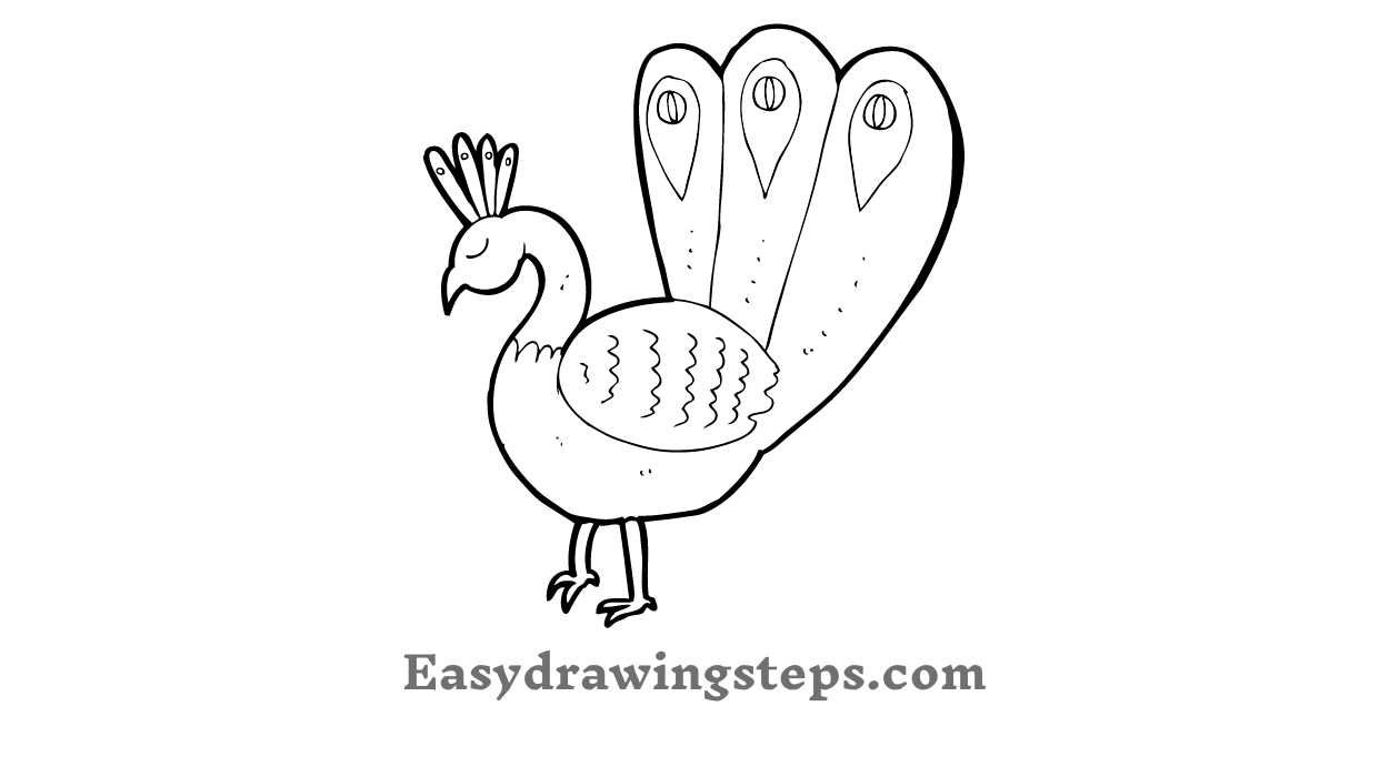 10 Steps to Draw Pencil Easy Peacock Drawing - Easy Drawing