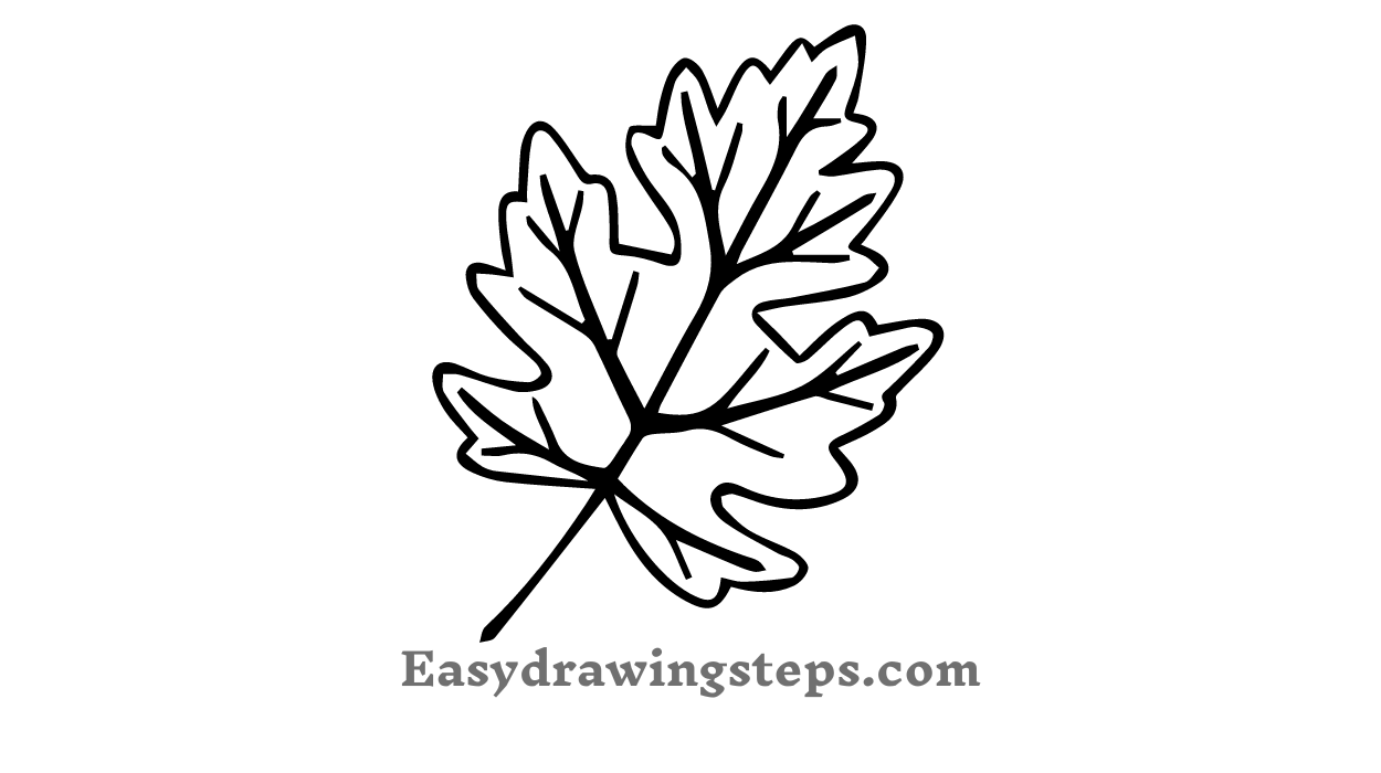 10 Easy Steps to Draw Autumn Leaves Drawing - Easy Drawing