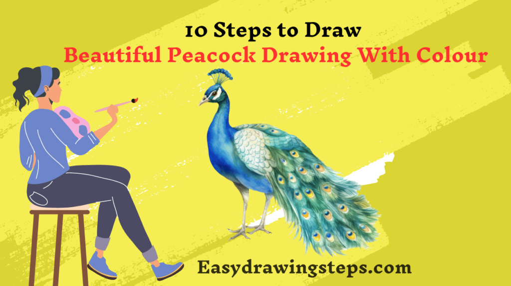 10 Easy Steps to Draw Beautiful Peacock Drawing With Colour - Easy Drawing