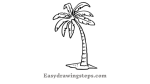10 Easy Steps to Draw Coconut Tree Drawing - Easy Drawing