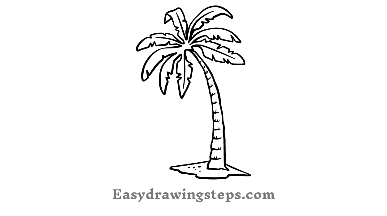 10 Easy Steps to Draw Coconut Tree Drawing - Easy Drawing