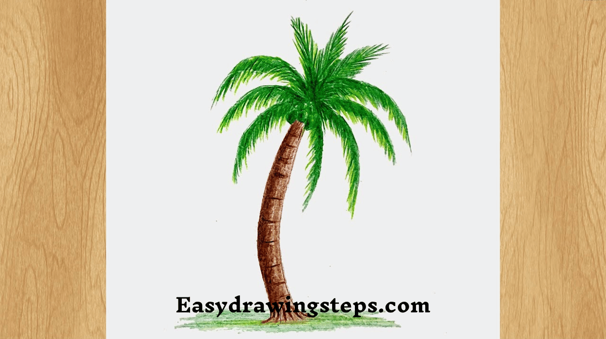 10 Easy Steps to Draw Coconut Tree Drawing - Easy Drawing
