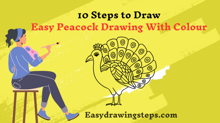 10 Steps to Draw Easy Peacock Drawing With Colour - Easy Drawing