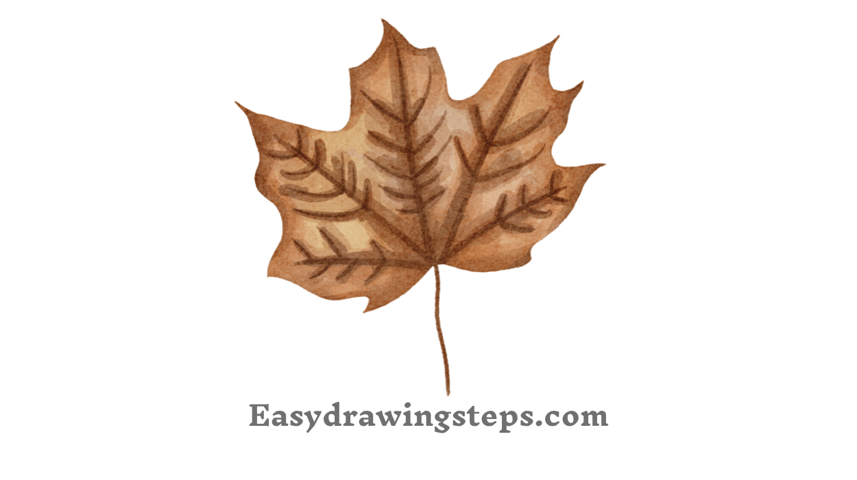 10 Easy Steps to Draw Fall Leaves Drawing - Easy Drawing