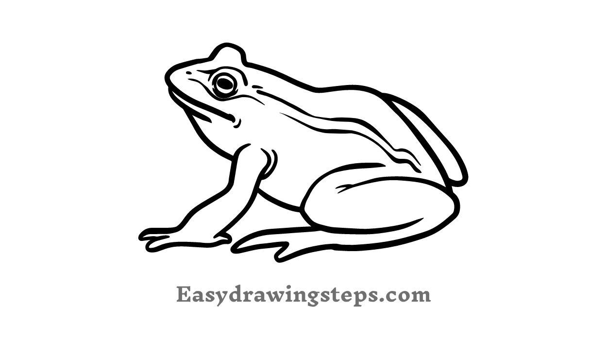 10 Easy Steps to Draw Frog Drawing - Easy Drawing