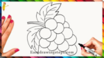 10 Easy Steps to Draw Grapes Drawing - Easy Drawing