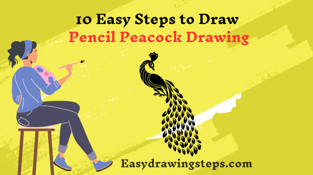10 Easy Steps to Draw Pencil Peacock Drawing - Easy Drawing
