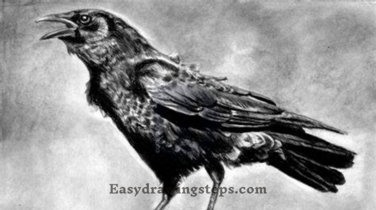 10 Easy Steps to Draw a Crow Drawing - Easy Drawing